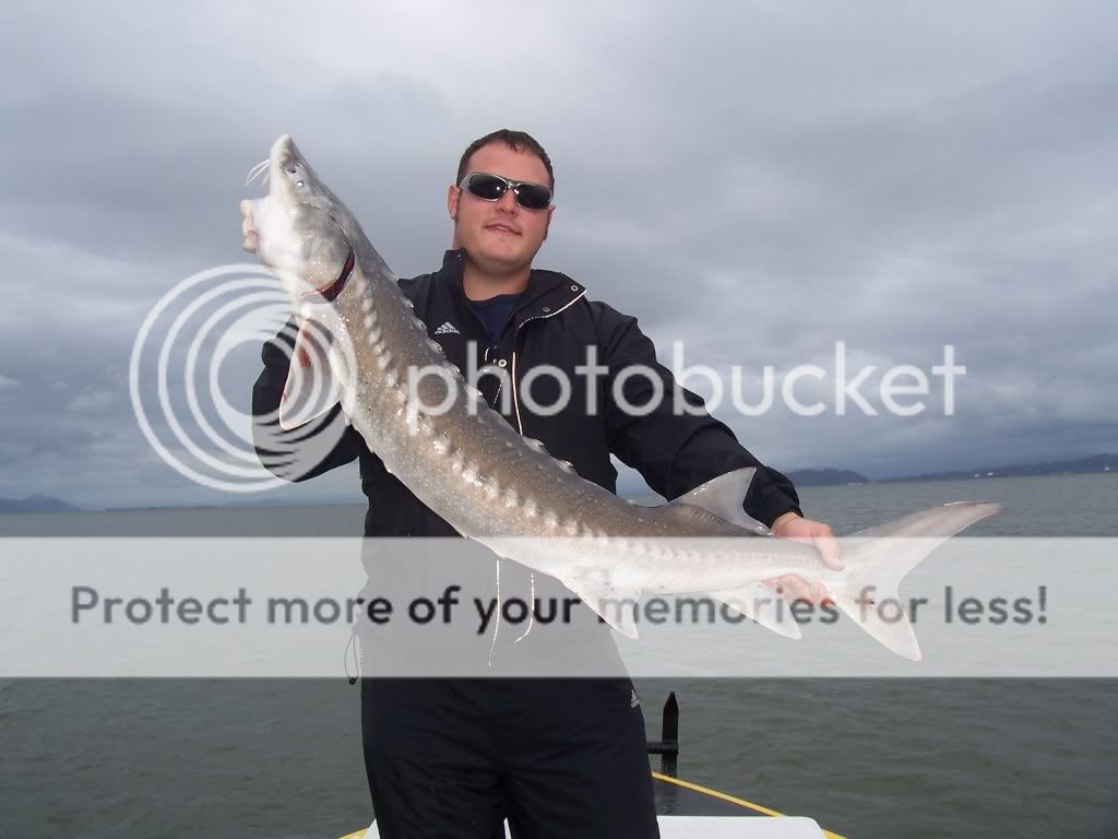 DIAMONDBACKS AND JUNE HOGS 062509-062809 | Bloodydecks