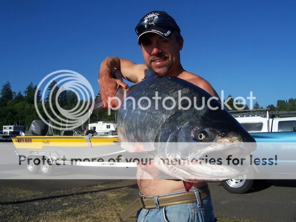 DIAMONDBACKS AND JUNE HOGS 062509-062809 | Bloodydecks