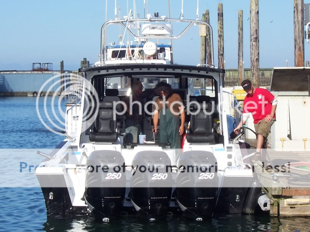 suspension seats | Bloodydecks