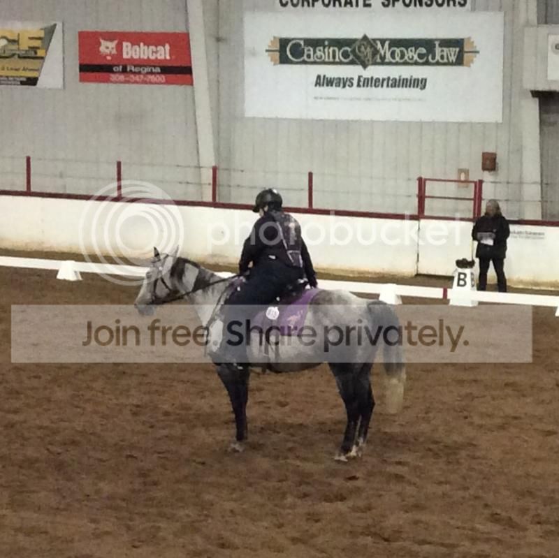 Show season is done, and I am danged proud of myself - Off Course ...