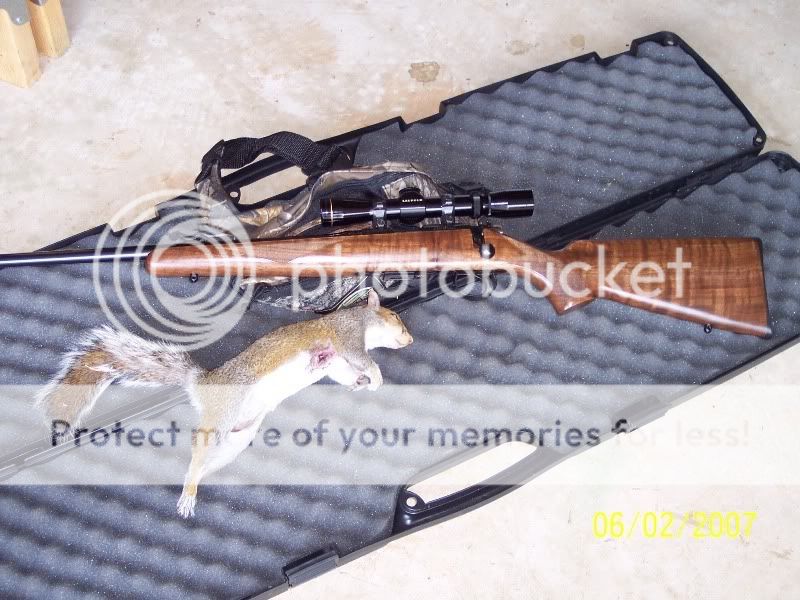 Preferred 22 squirrel rifle? | Page 3 | Rimfire Central Firearm Forum