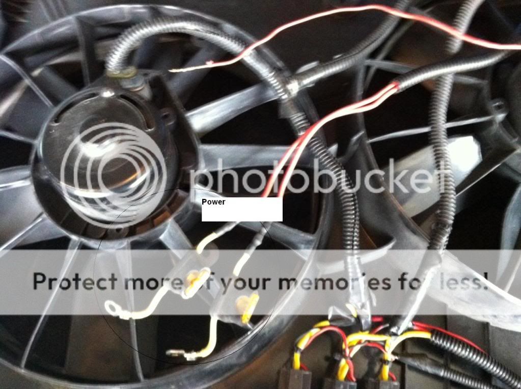 PCM Pin Connectors? | Chevy Trailblazer SS Forum