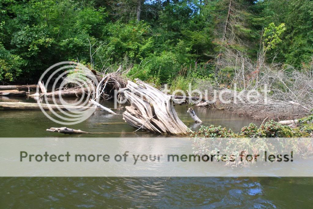 Review Wet Fire Commercial Tinder | BladeForums.com