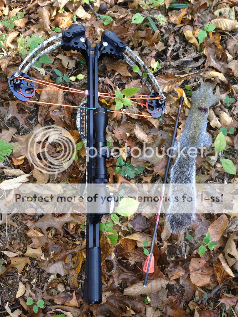 A very good discharge target with gravey. | Archery Talk Forum