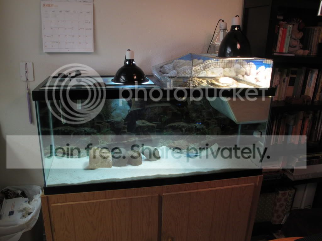 Redearslider.com :: View topic - 75 gallon Above tank basking area set up.